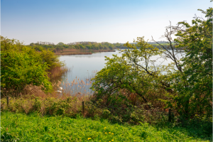 Fantastic Lincolnshire Fishing Spots | Wold View Country Park